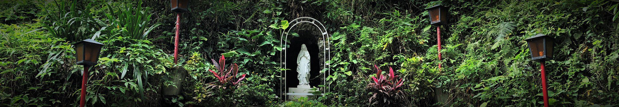 backdrop1 – 鄧鏡波學校 Tang King Po School